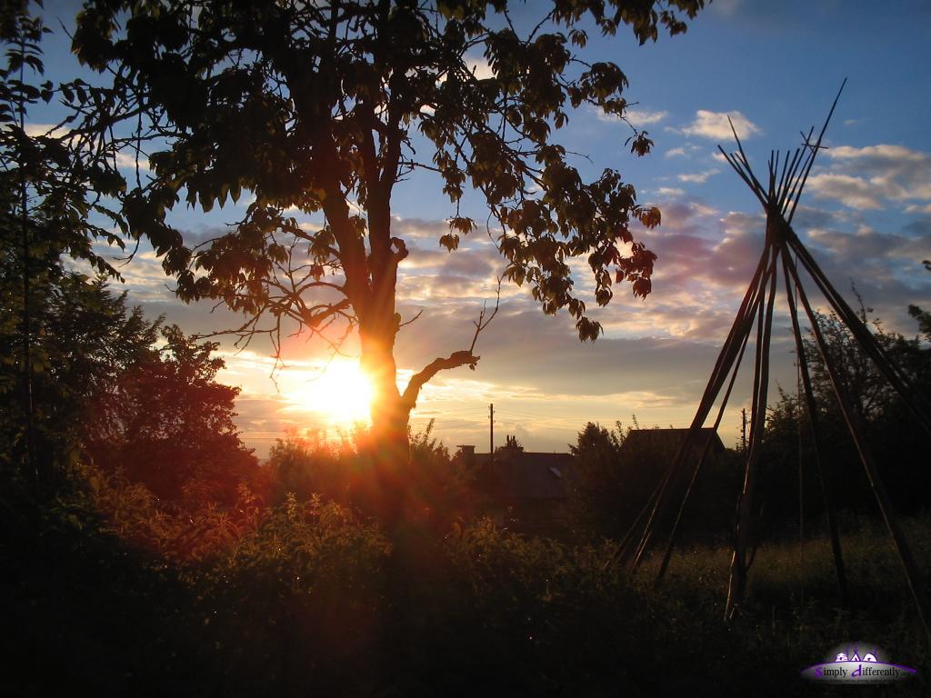 SimplyDifferently.org: Gallery