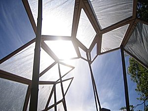 SimplyDifferently.org: Zome