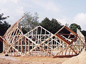 SimplyDifferently.org: Zome