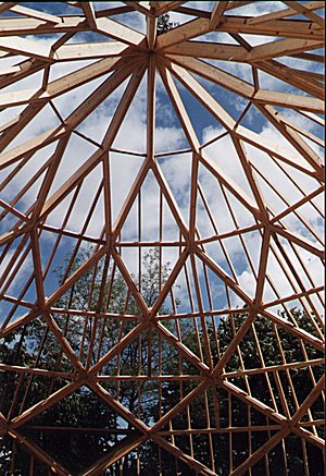 SimplyDifferently.org: Zome